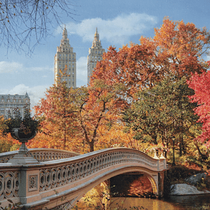 ROD CHASE ARTIST- Full Collection of Artwork by ROD CHASE